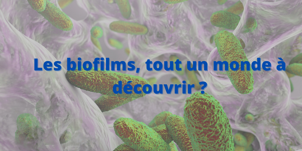 Biofilms ? : Tout un monde à découvrir